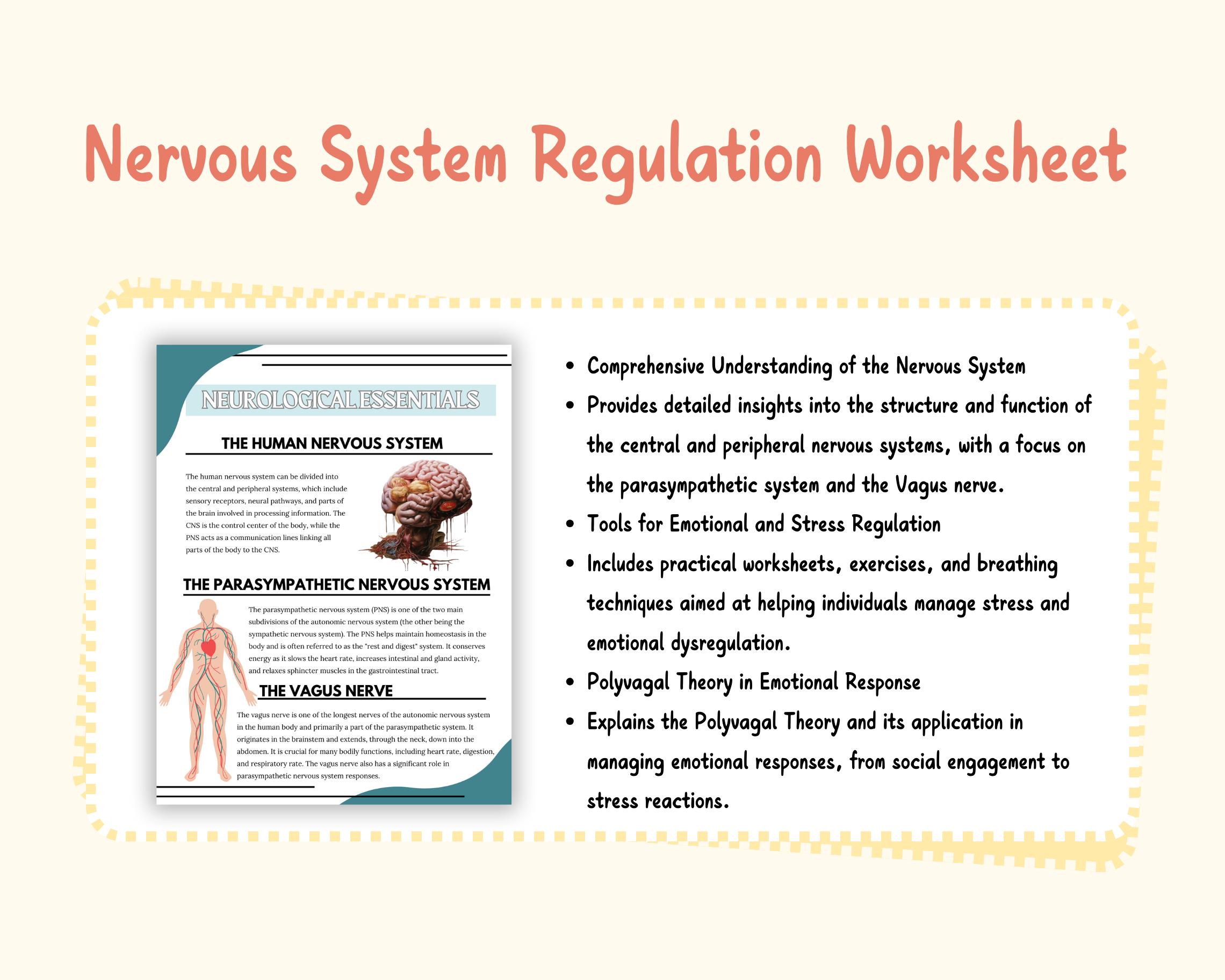 Nervous System Regulation Workbook, Somatic Exercise Polyvagal Theory ...