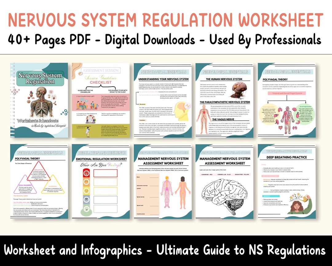 Nervous System Regulation Workbook, Somatic Exercise Polyvagal Theory ...