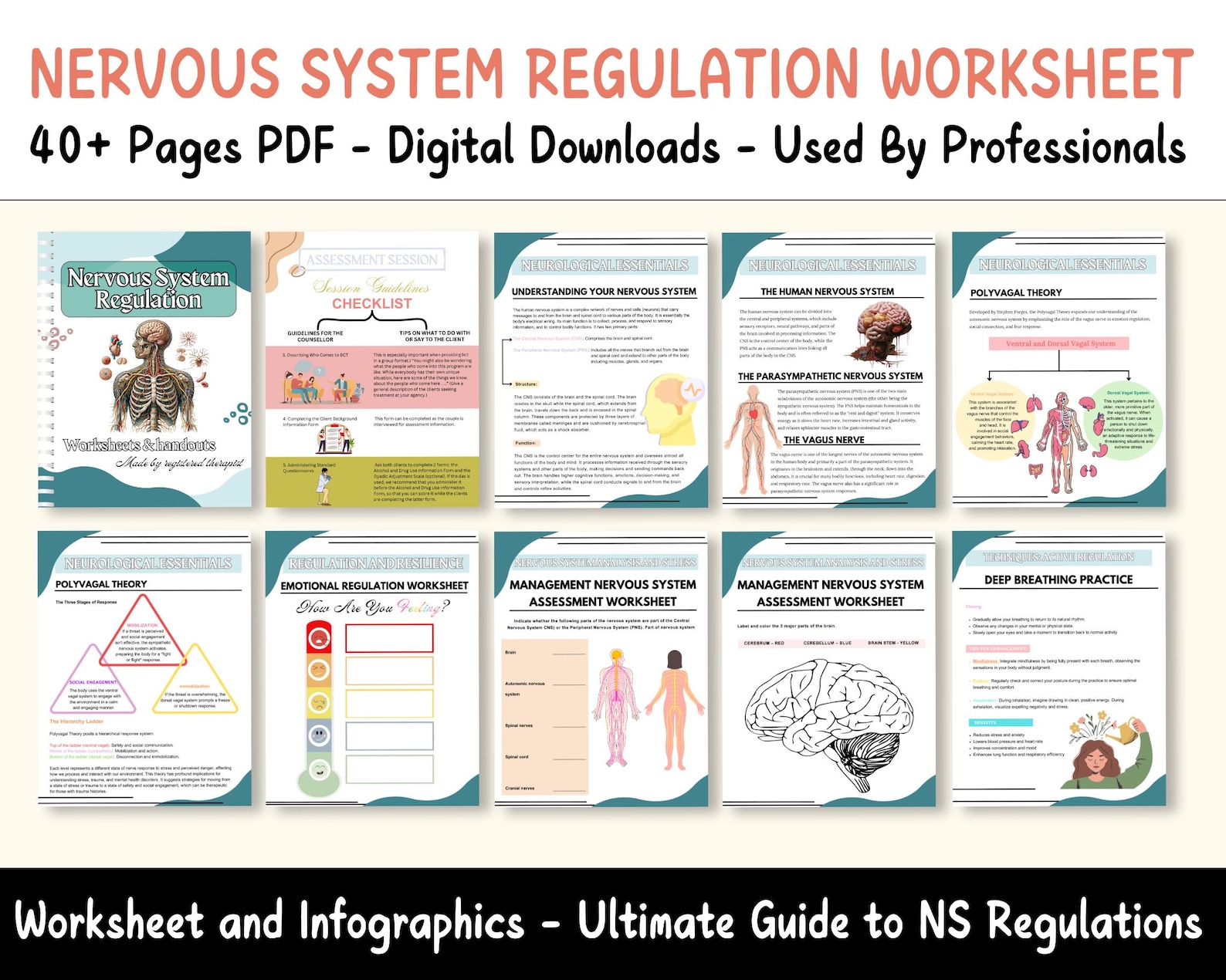 Nervous System Regulation Workbook, Somatic Exercise Polyvagal Theory ...