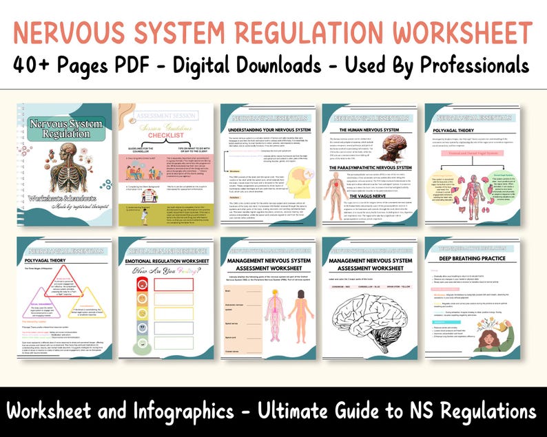 Nervous System Regulation Workbook, Somatic Exercise Polyvagal Theory ...