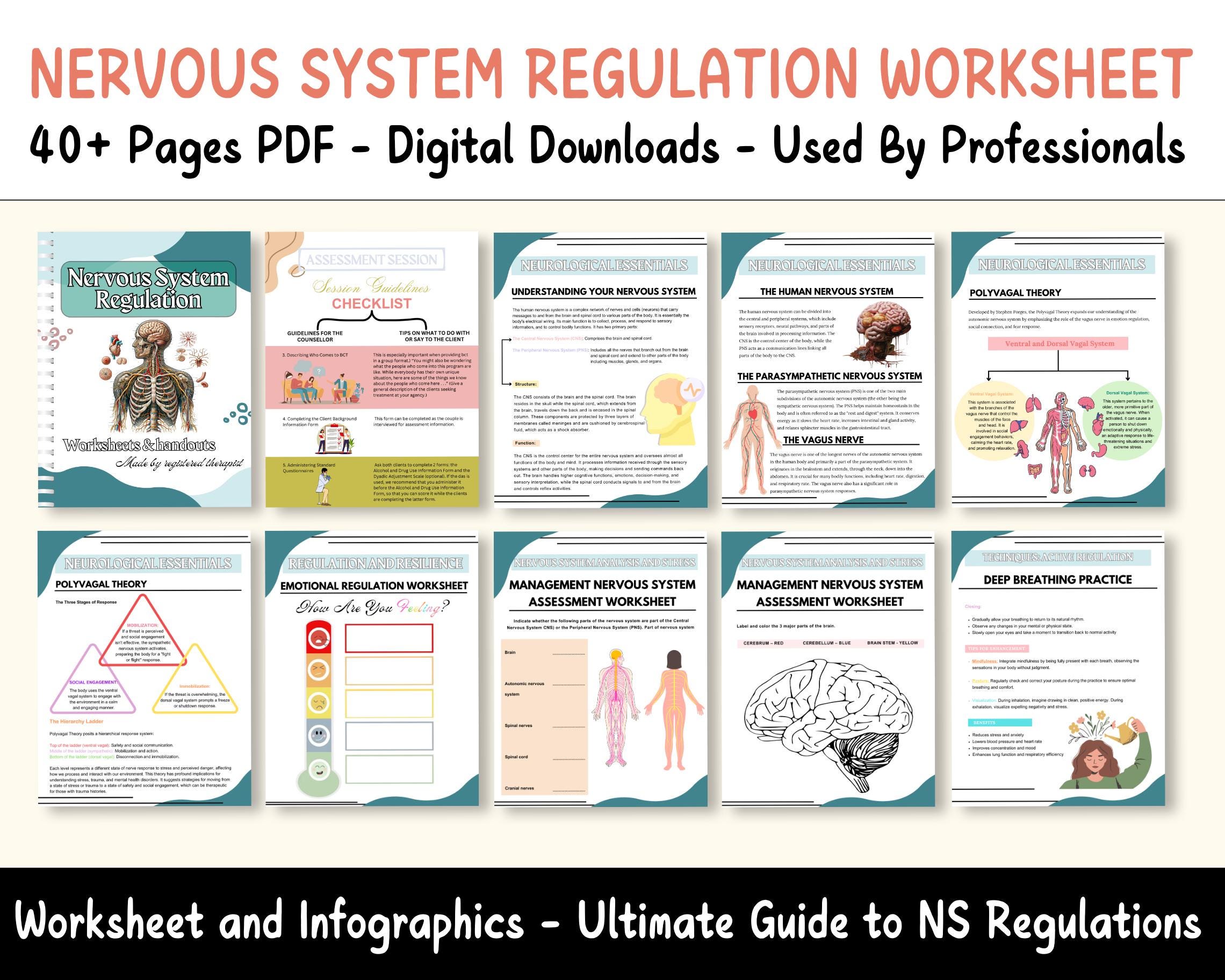 Nervous System Regulation Workbook, Somatic Exercise Polyvagal Theory ...