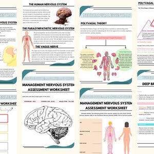 Nervous System Regulation Workbook, Somatic Exercise Polyvagal Theory ...