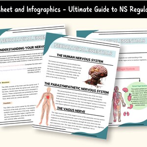 Nervous System Regulation Workbook, Somatic Exercise Polyvagal Theory ...
