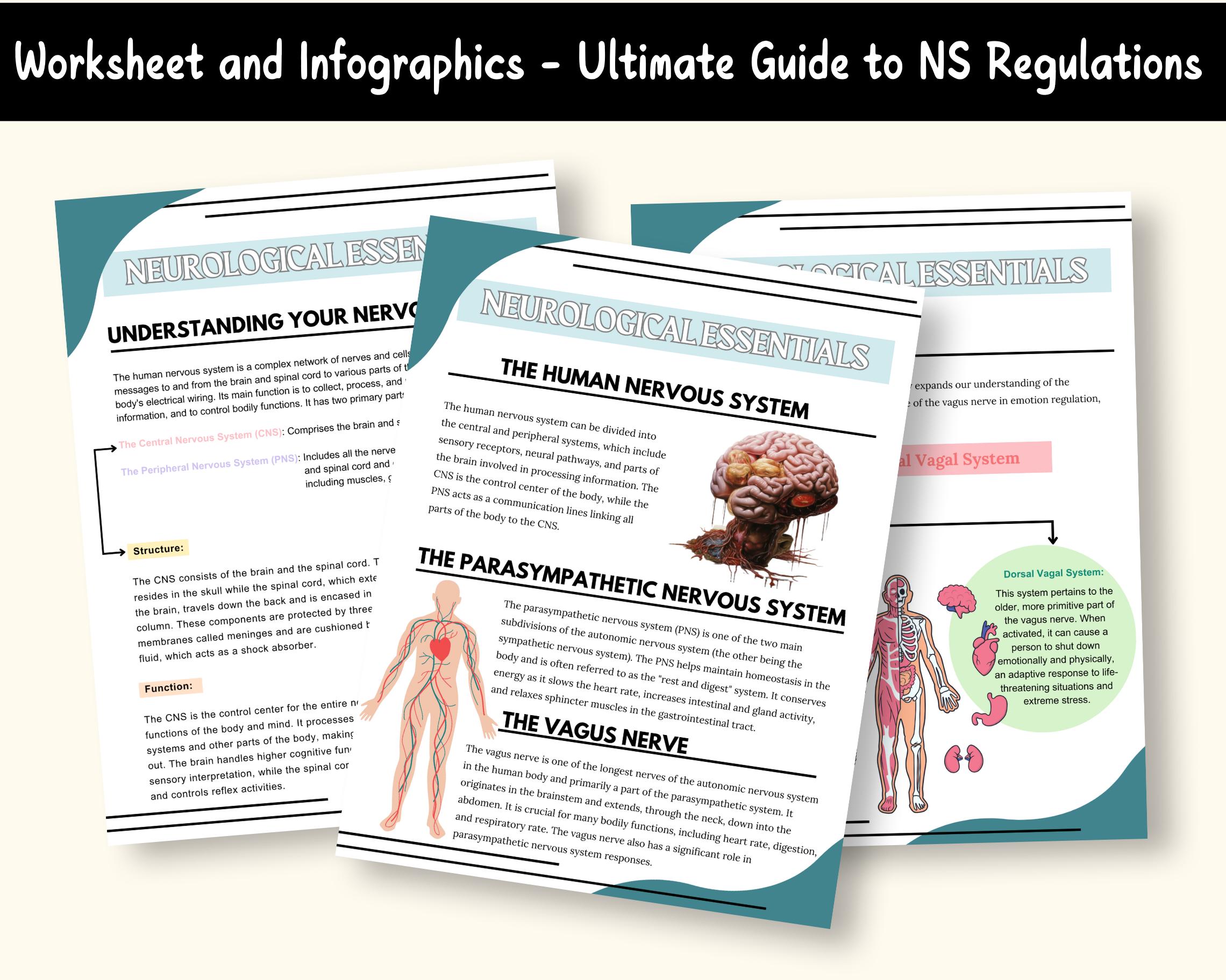 Nervous System Regulation Workbook, Somatic Exercise Polyvagal Theory ...