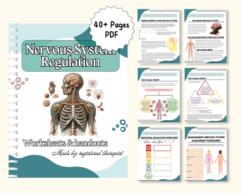 Nervous System Regulation Workbook, Somatic Exercise Polyvagal Theory ...