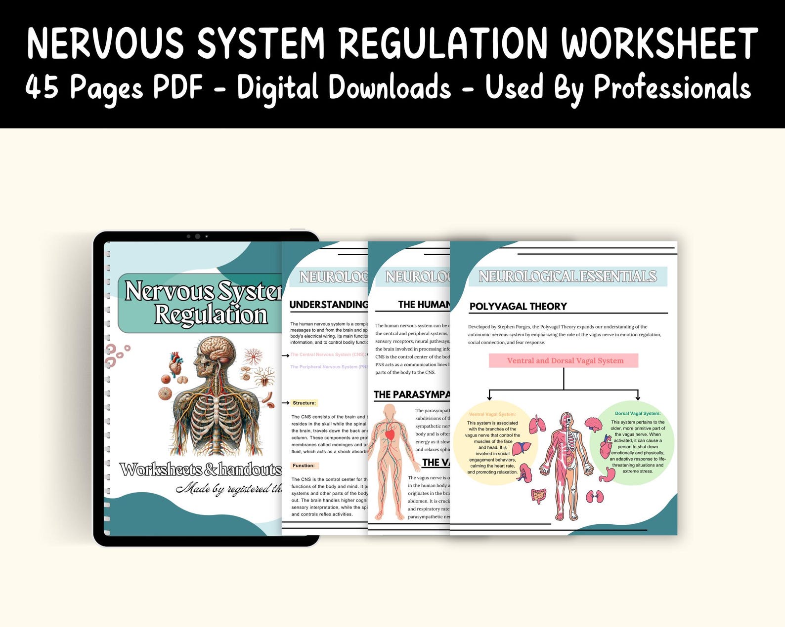 Nervous System Regulation Workbook, Somatic Exercise Polyvagal Theory ...