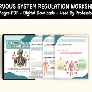 Nervous System Regulation Workbook, Somatic Exercise Polyvagal Theory ...