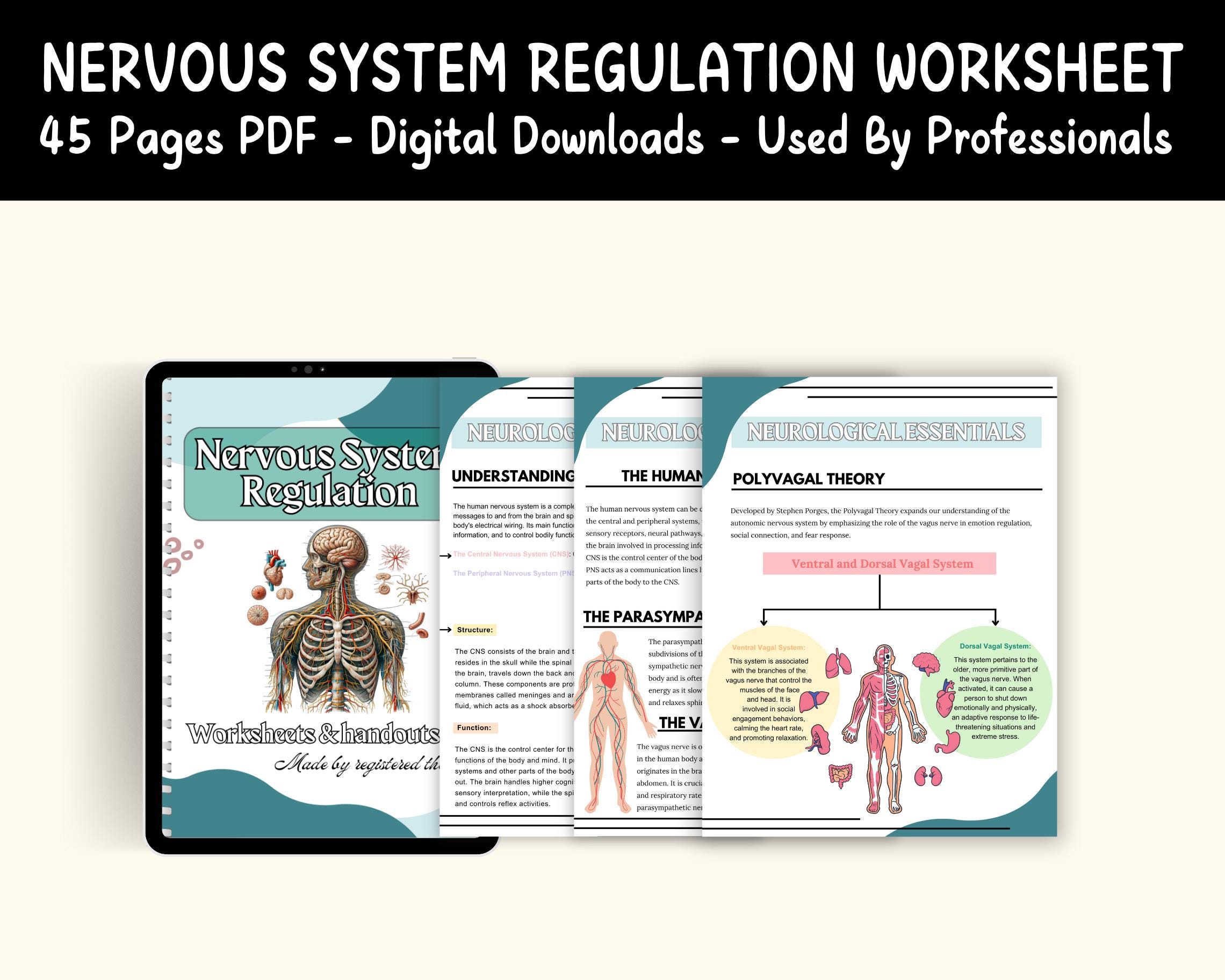 Nervous System Regulation Workbook, Somatic Exercise Polyvagal Theory ...