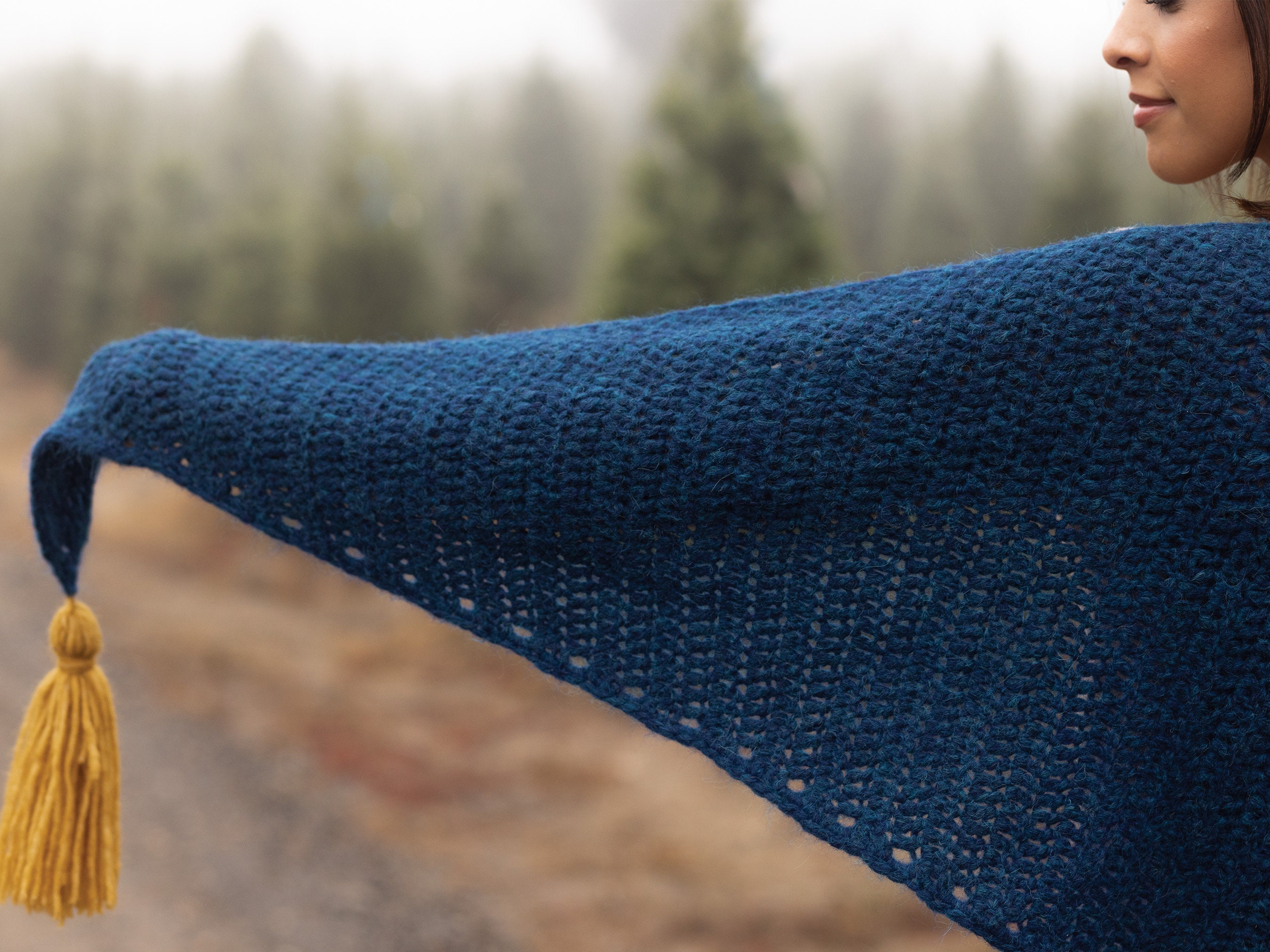 Crochet Pattern: Asymmetrical Triangle Crochet Shawl in Two Colors With ...