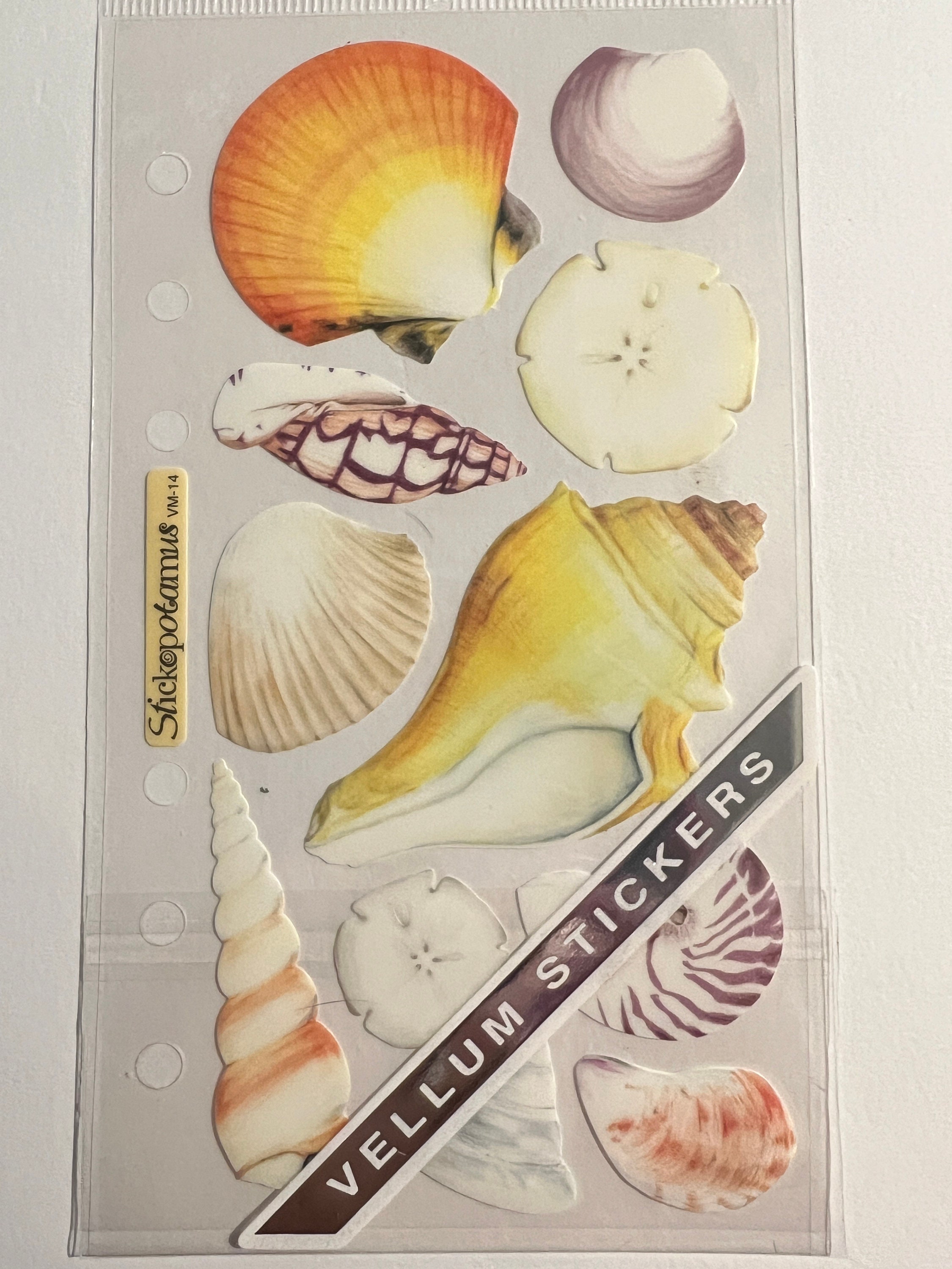 Seashell Stickers 2 Sheets: Stickopotamus Sticko Vellum Realistic ...