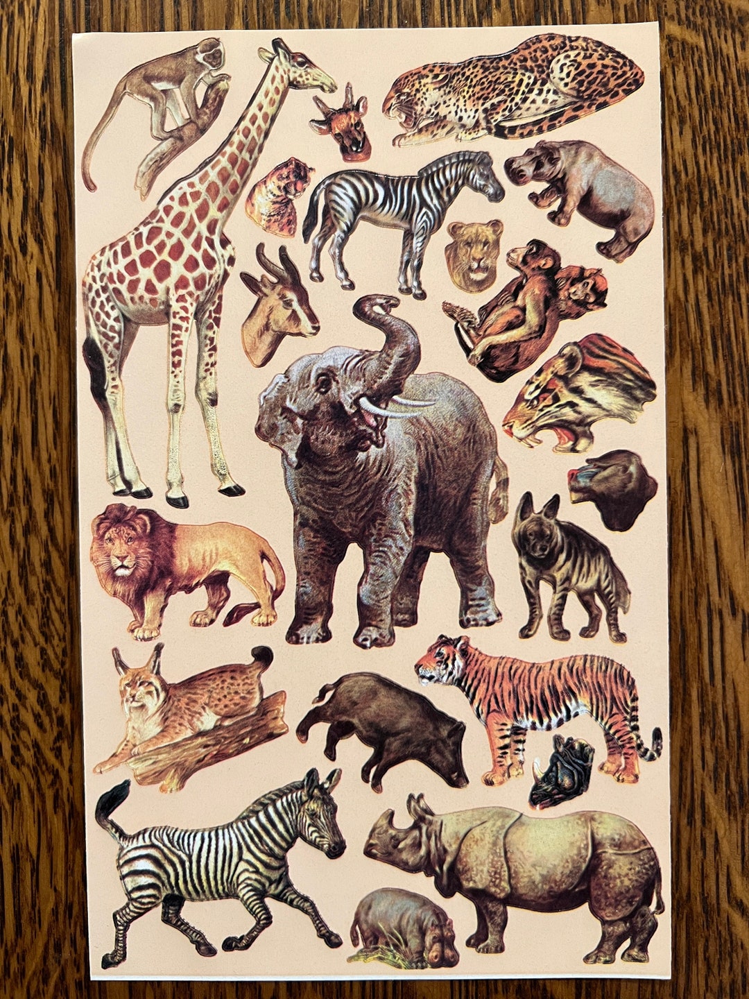 Very Rare Vintage WILD ANIMAL Stickers John Grossman Punch Studios ...