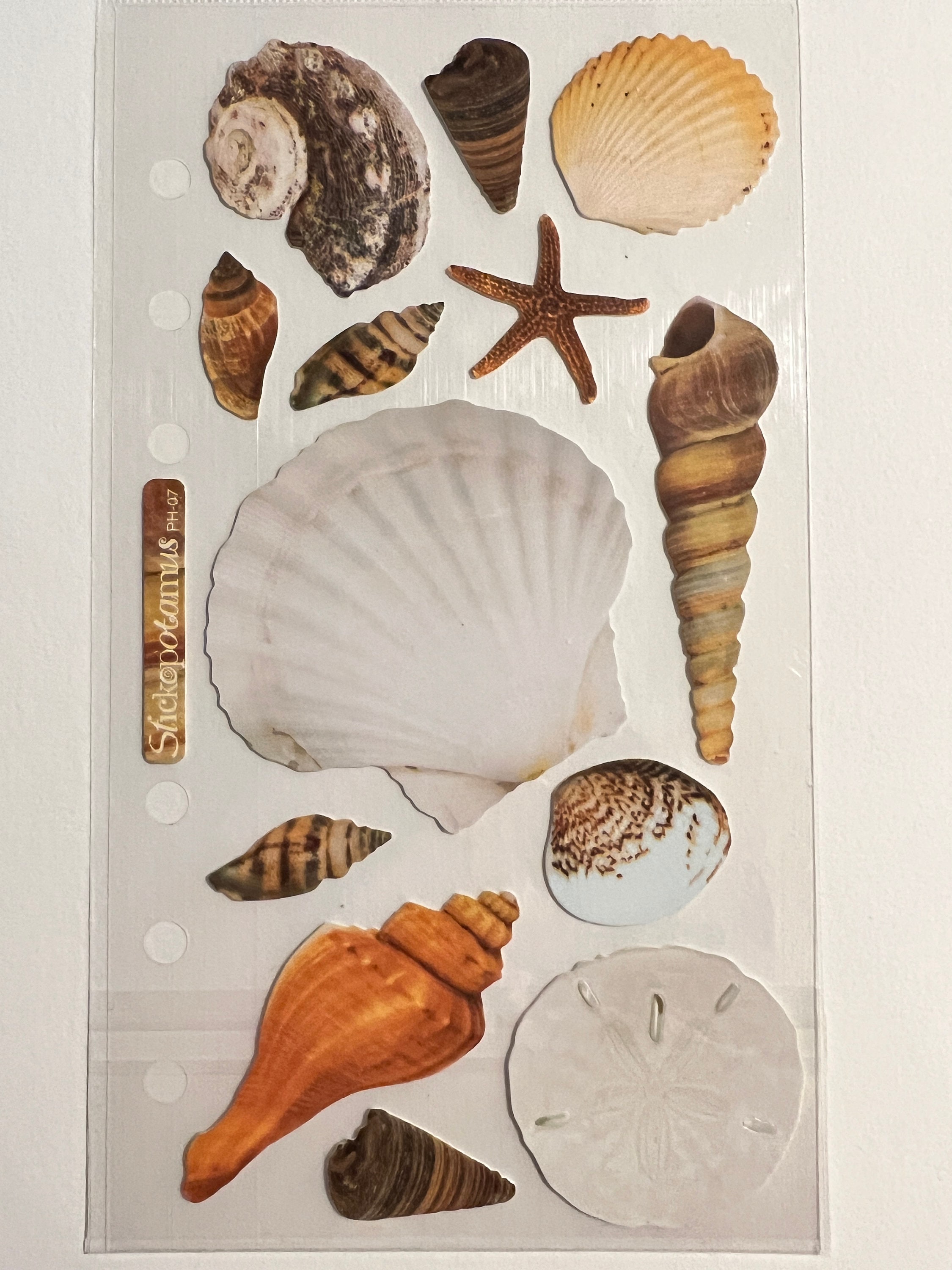 Seashell Stickers 2 Sheets: Stickopotamus Sticko Vellum Realistic ...