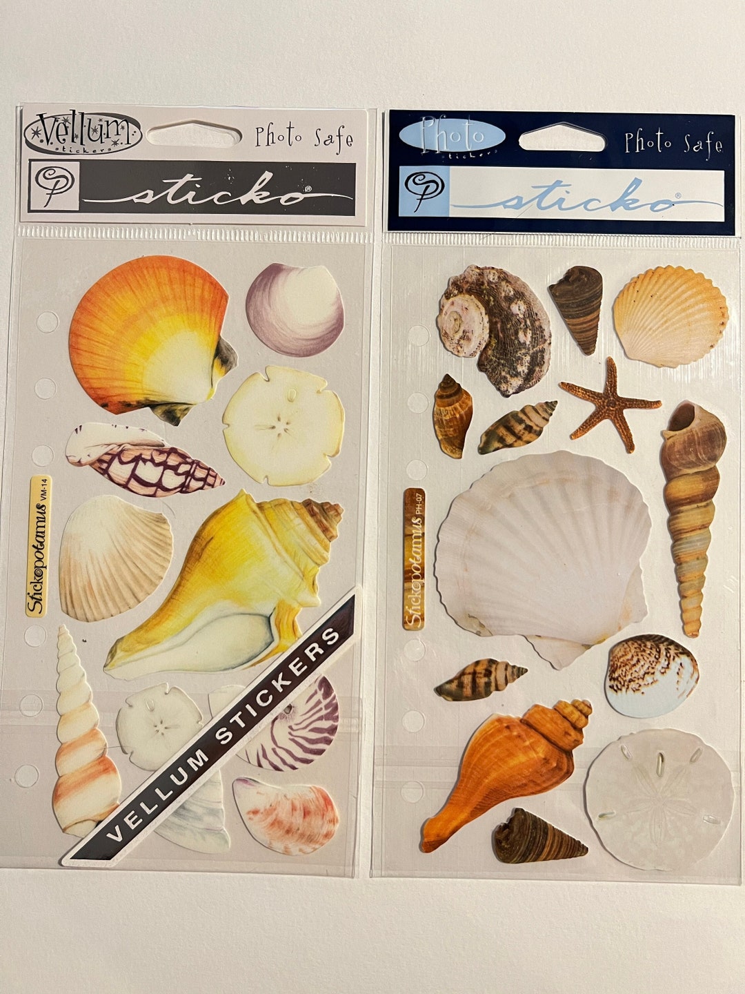 Seashell Stickers (2 Sheets): Stickopotamus Sticko Vellum - Realistic ...