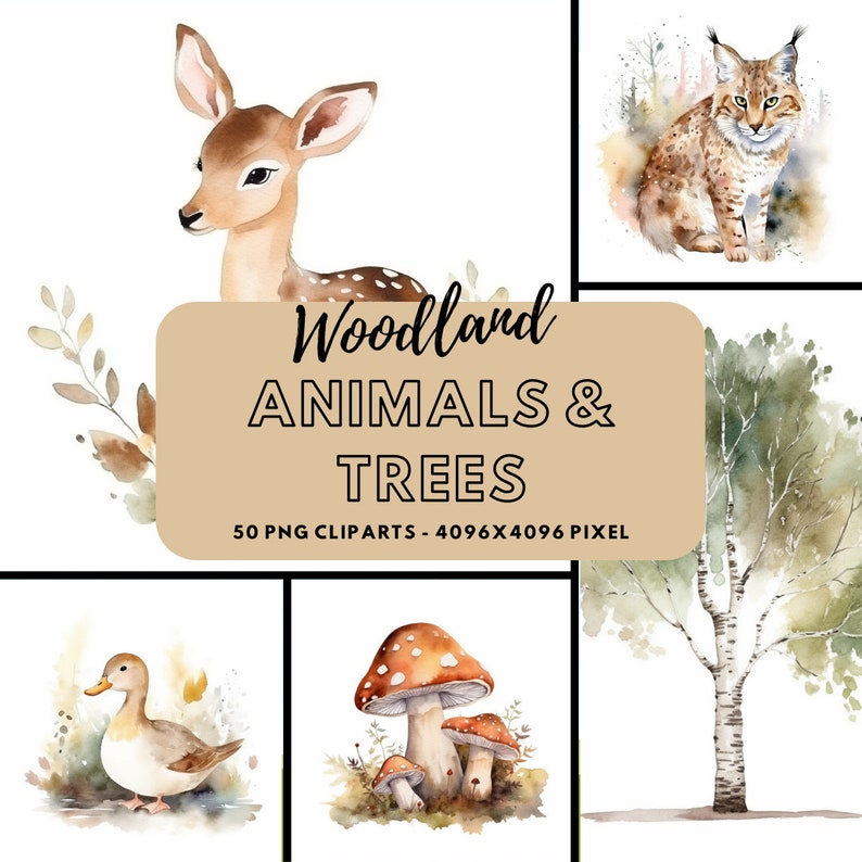 Woodland Animals & Trees Clipart Watercolor, Clipart for Commercial Use ...