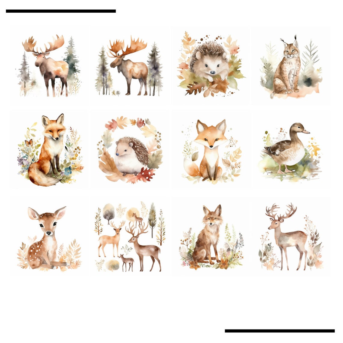 Woodland Animals & Trees Clipart Watercolor, Clipart for Commercial Use ...