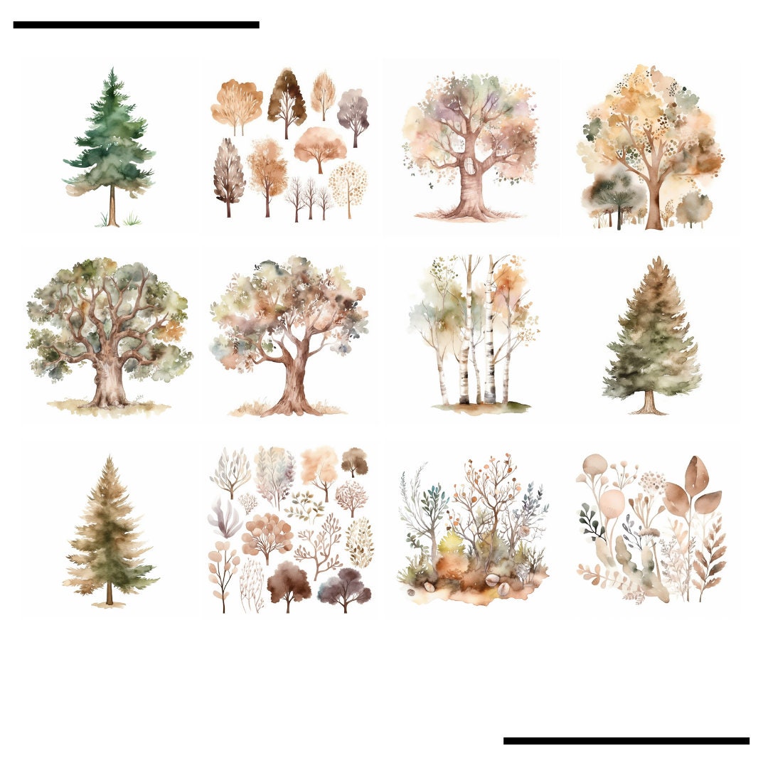 Woodland Animals & Trees Clipart Watercolor, Clipart for Commercial Use ...