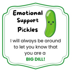 Emotional Support Pickle Tag and Jar Label / Crochet Pickle Tag and ...