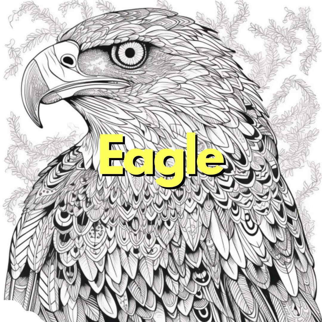 Eagle Coloring Pages for Adults - Instant Download - Etsy
