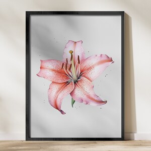 Watercolor Flowers Watercolor Stargazer Lily SVG Flowers, PNG Floral ...