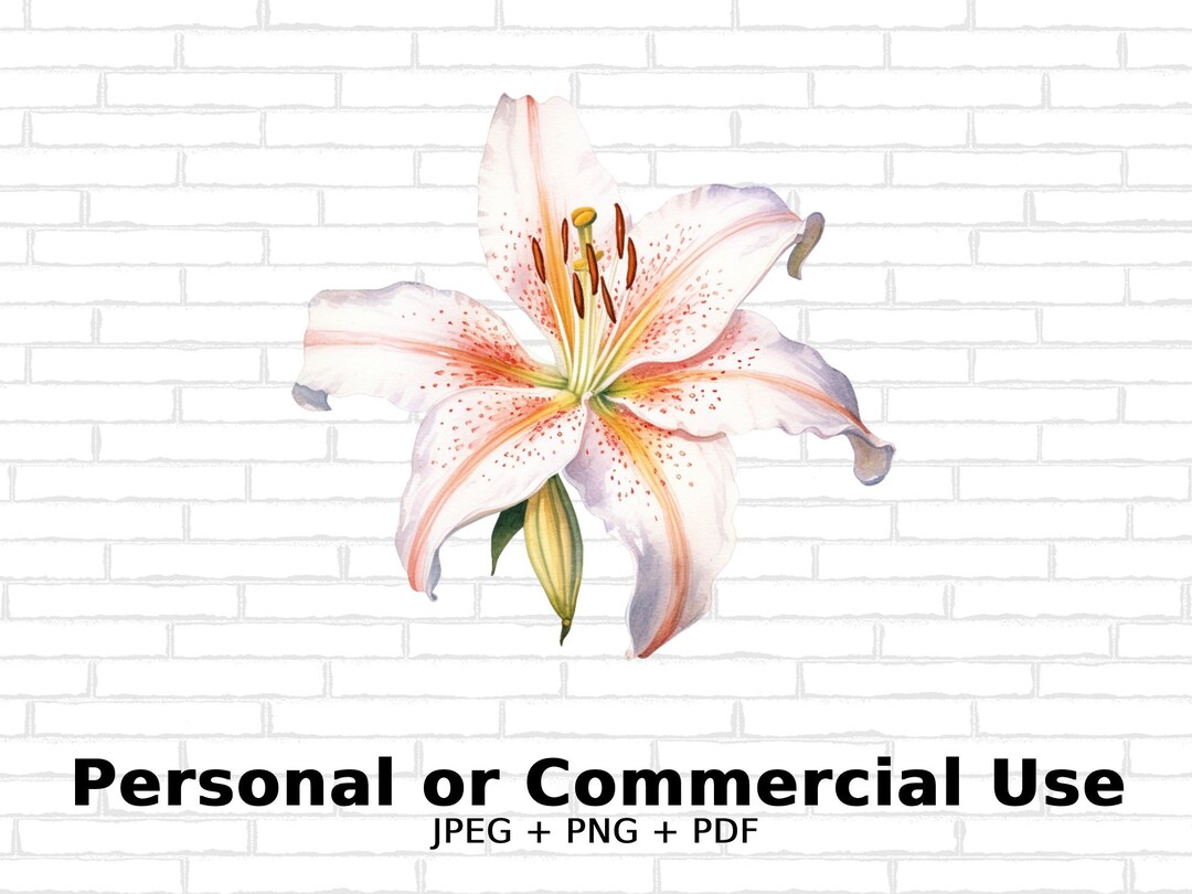 Watercolor Stargazer Lily SVG Flowers PNG Floral Clipart for - Etsy