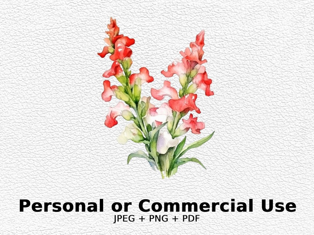 Watercolor Snapdragon SVG Flowers, PNG Floral Clipart for Commercial ...