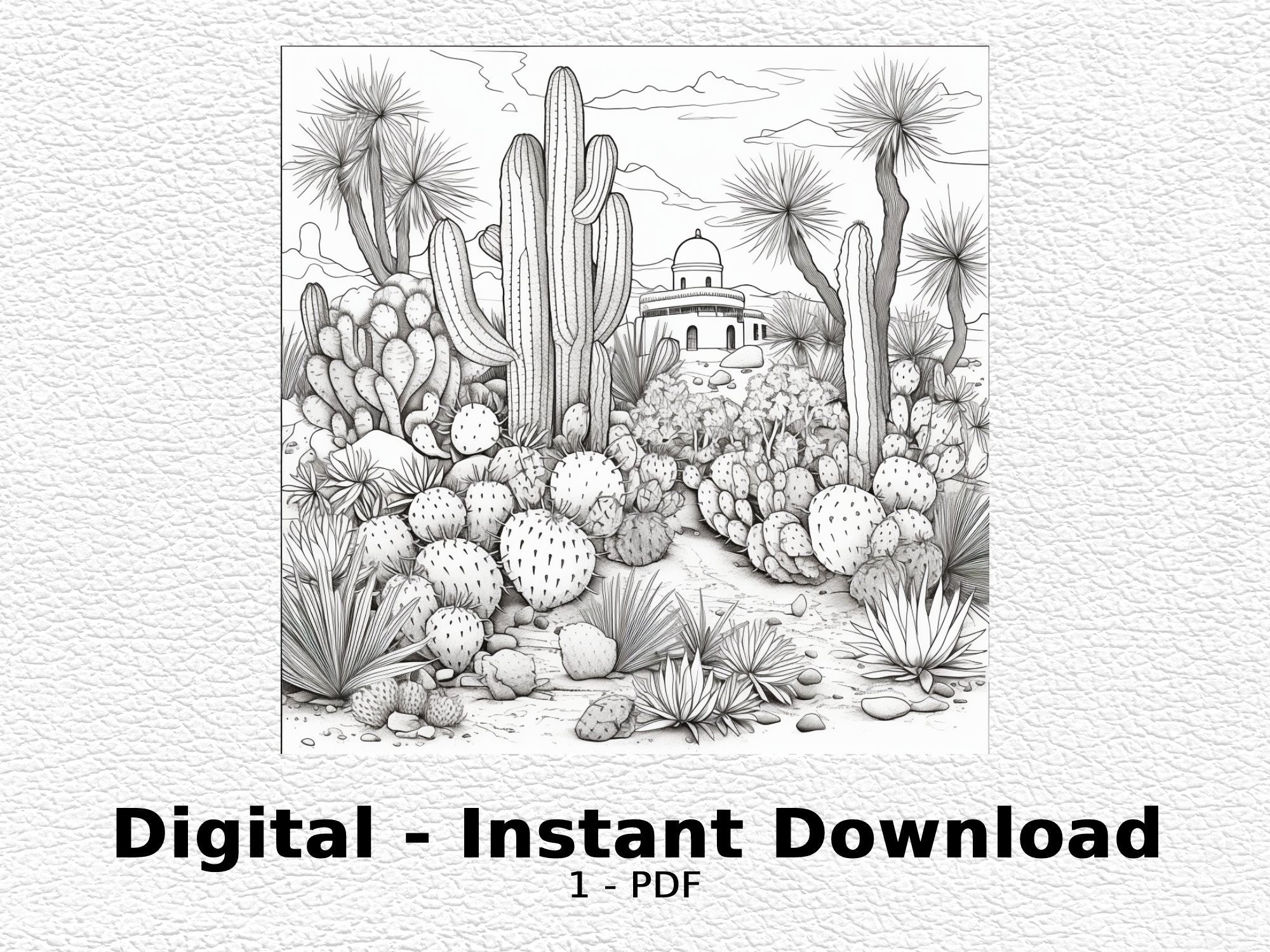 Cactus Garden - Coloring Page Digital, Cactus Coloring Book, Cactus ...