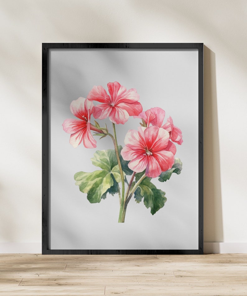 Watercolor Geranium SVG Flowers PNG Floral Clipart for - Etsy