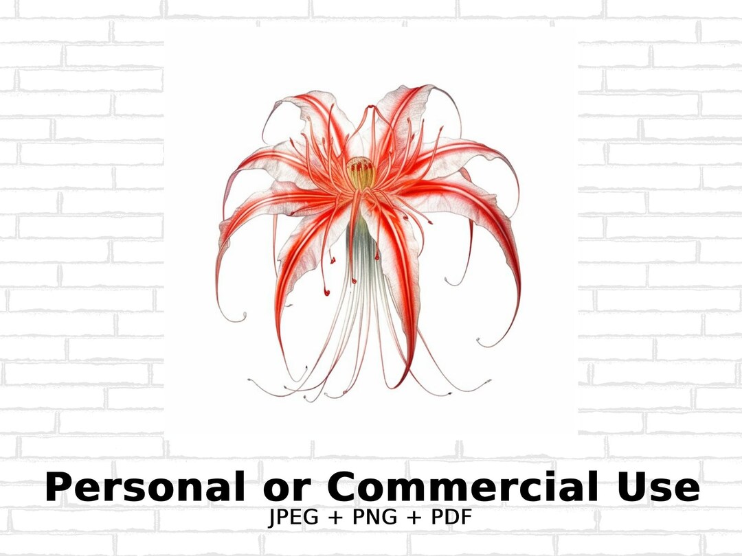 Watercolor Flowers Watercolor Spider Lily SVG Flowers, PNG Floral ...
