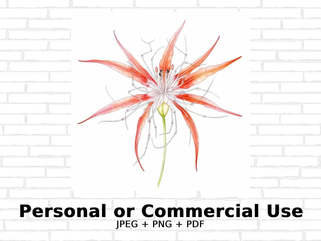 Watercolor Flowers Watercolor Spider Lily SVG Flowers, PNG Floral ...