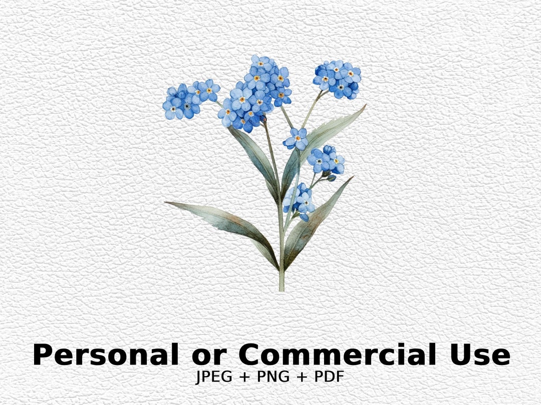 Watercolor Forget Me Not - SVG Flowers, PNG Floral Clipart for ...