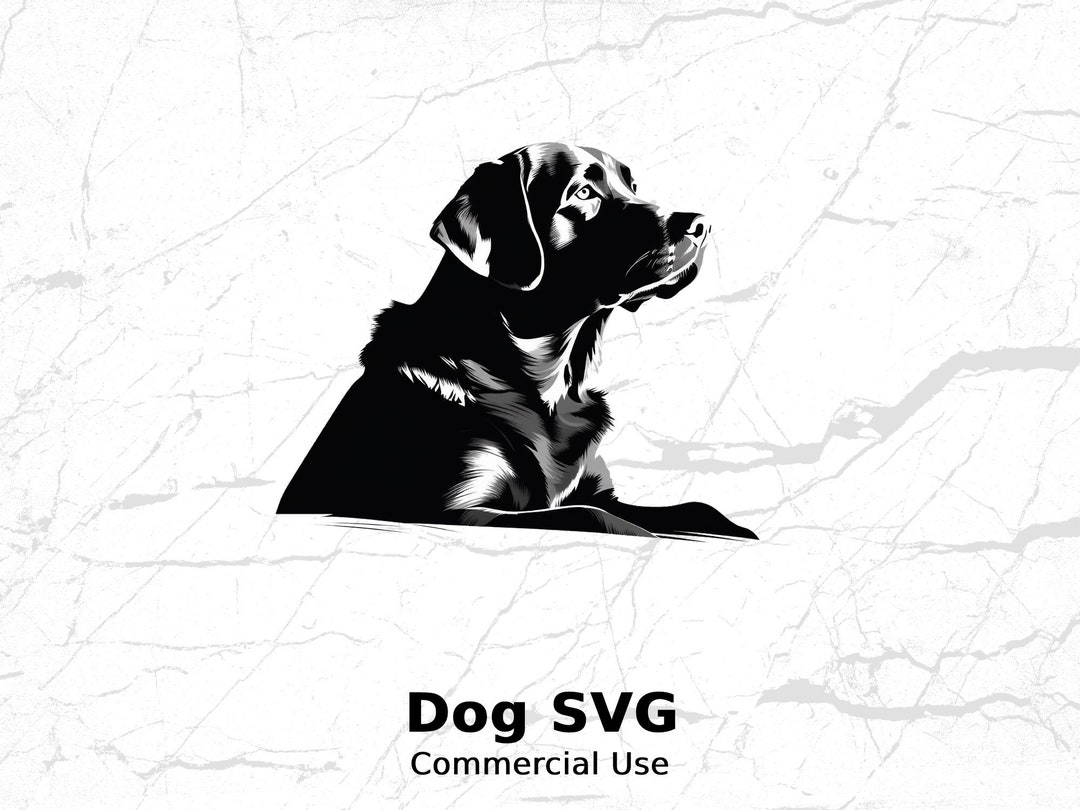 Labrador Retriever Dog SVG Silhouette for Commercial Use Digital File ...