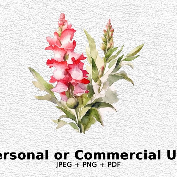 Snapdragon Svg - Etsy