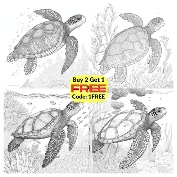 Turtle Pictures To Color