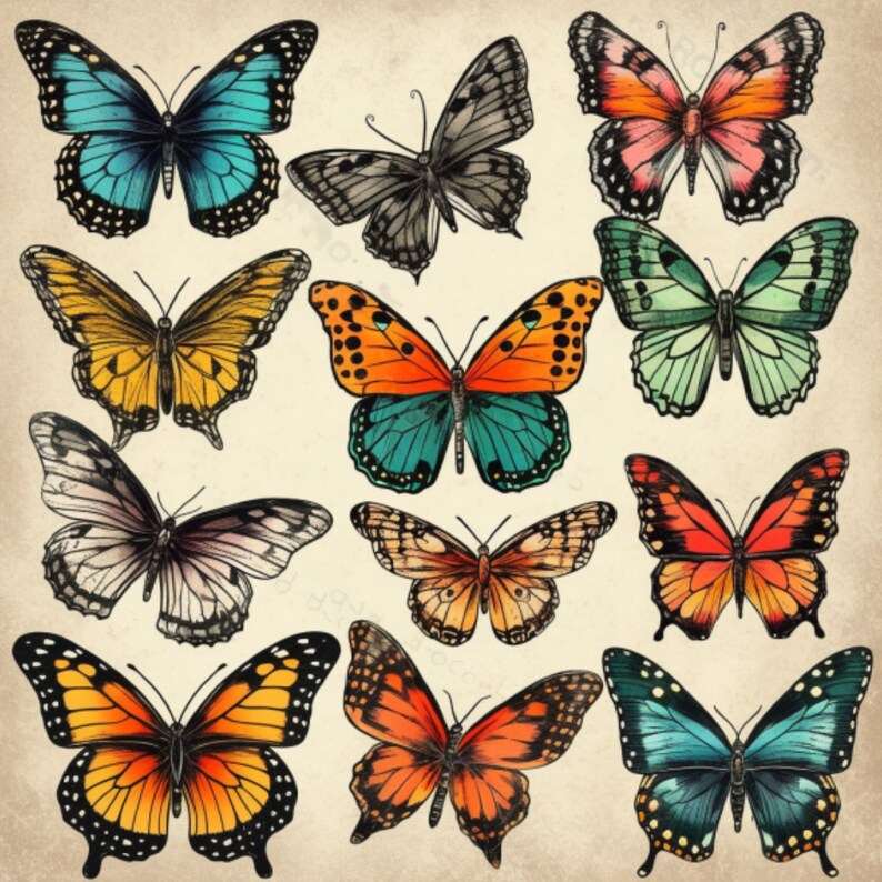 100 Butterfly Clipart PNG, Watercolor Butterfly and Flowers Clipart ...