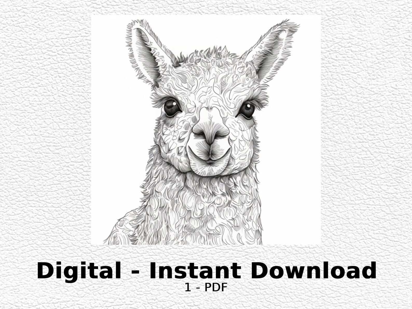 Baby Llama - Coloring Page- Coloring Page for Adult Printable - Etsy