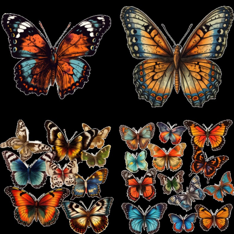 100 Butterfly Clipart PNG, Watercolor Butterfly and Flowers Clipart ...