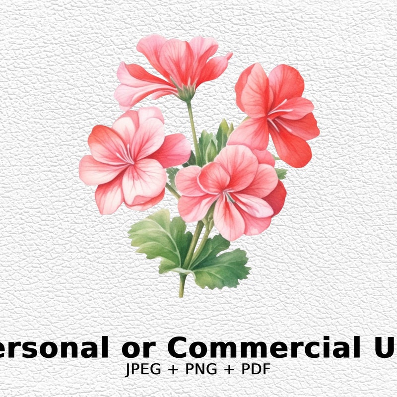 Geranium Clipart - Etsy