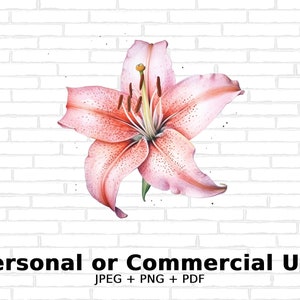 Watercolor Flowers Watercolor Stargazer Lily SVG Flowers, PNG Floral ...