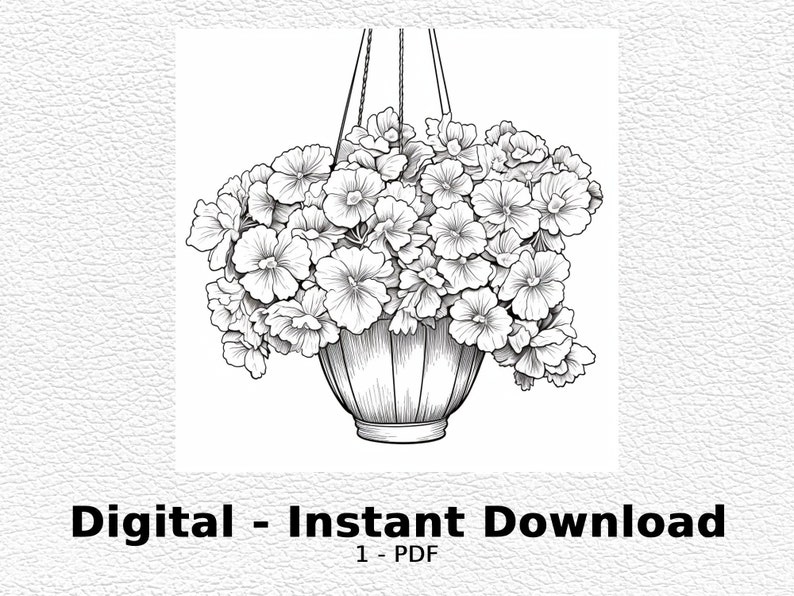 Geranium Hanging Baskets - Coloring Page, Floral Coloring Pages ...