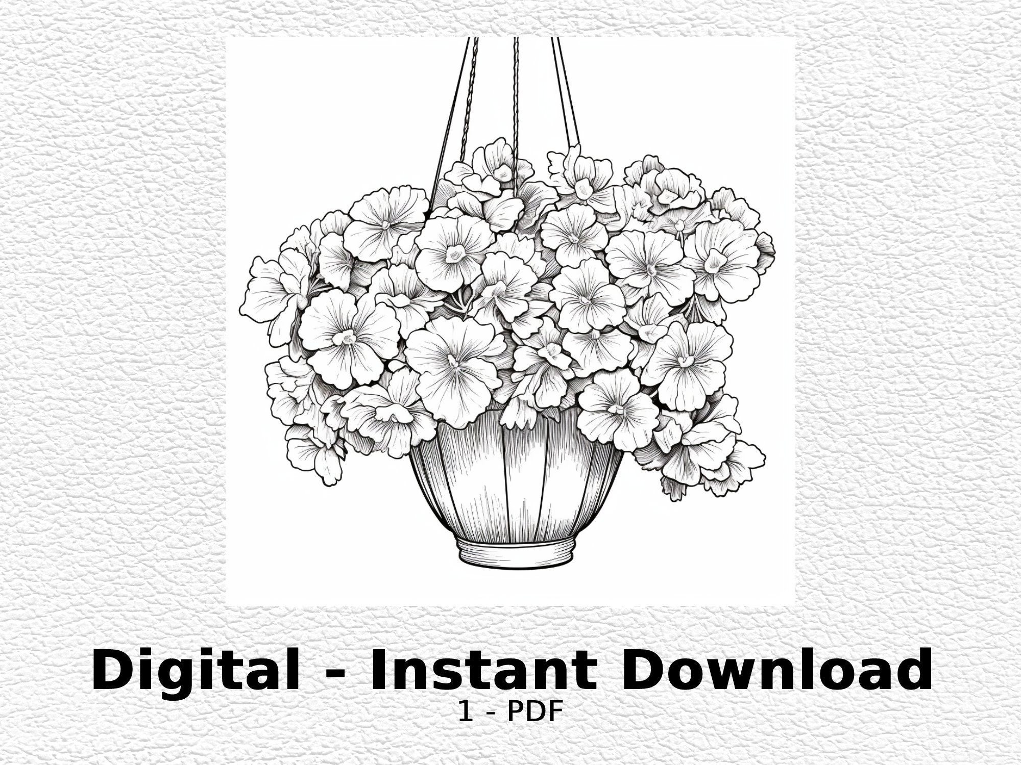 Geranium Hanging Baskets - Coloring Page, Floral Coloring Pages ...