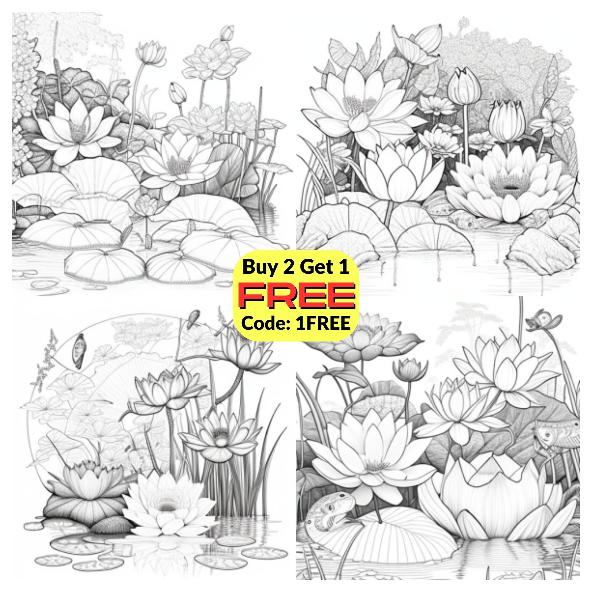Lily Pad Flower Coloring Page
