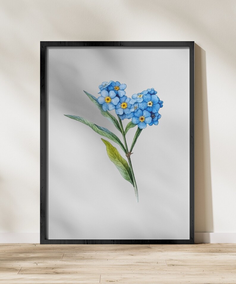 Watercolor Forget Me Not SVG Flowers PNG Floral Clipart for - Etsy