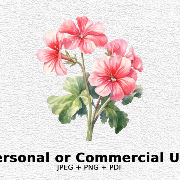Geranium Clipart - Etsy