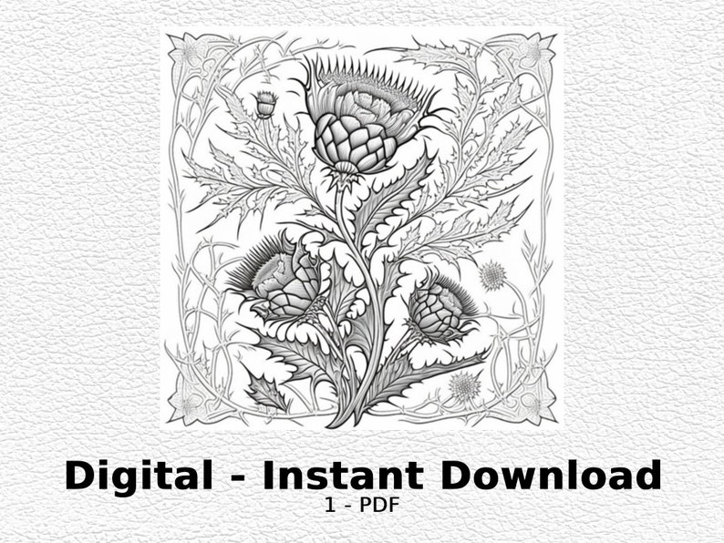 Scottish Thistle - Coloring Page- Coloring Page for Adult Printable - Etsy