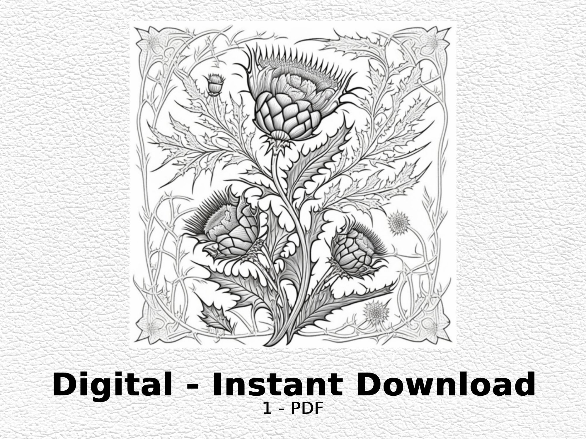 Scottish Thistle - Coloring Page- Coloring Page for Adult Printable - Etsy