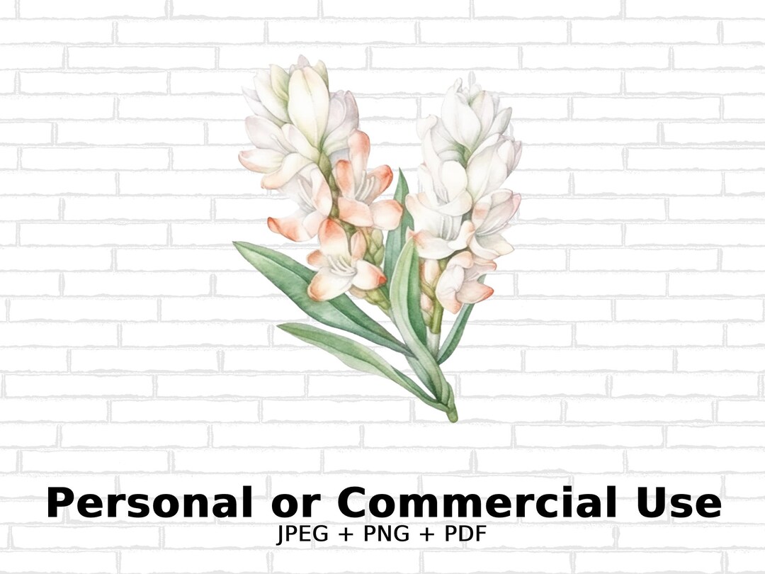 Watercolor Tuberose- SVG Flowers, PNG Floral Clipart for Commercial Use ...