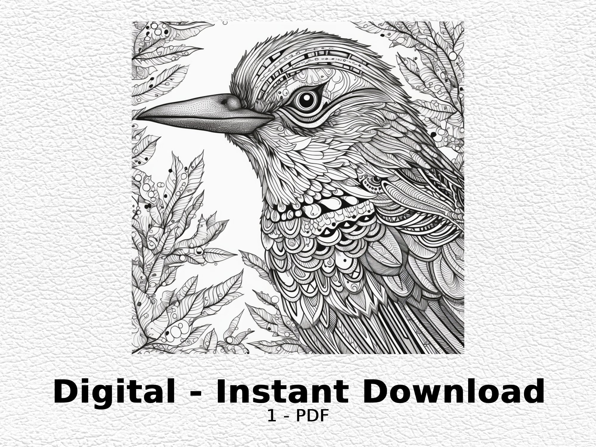 Bird Coloring Page Digital, Bird Sheet to Print Out, Coloring Page for ...