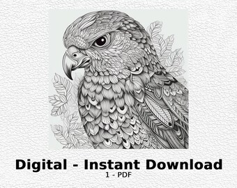 Hawk Fine Line Portrait Clip Art, Printable Bird Coloring Page, Stencil ...