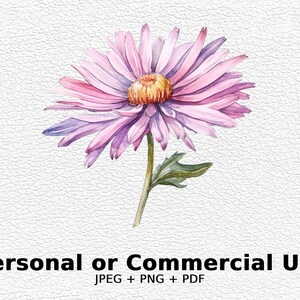 Watercolor Aster - SVG Flowers, PNG Floral Clipart for Commercial Use ...