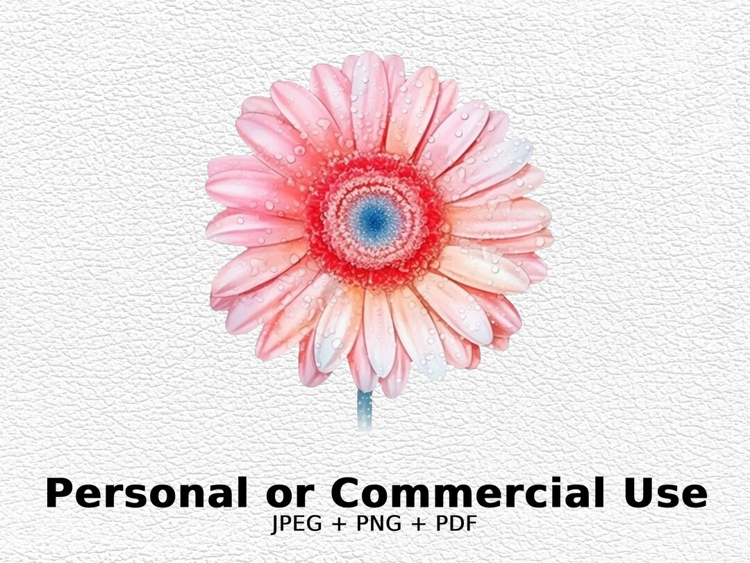 Watercolor Gerbera - SVG Flowers, PNG Floral Clipart for Commercial Use ...
